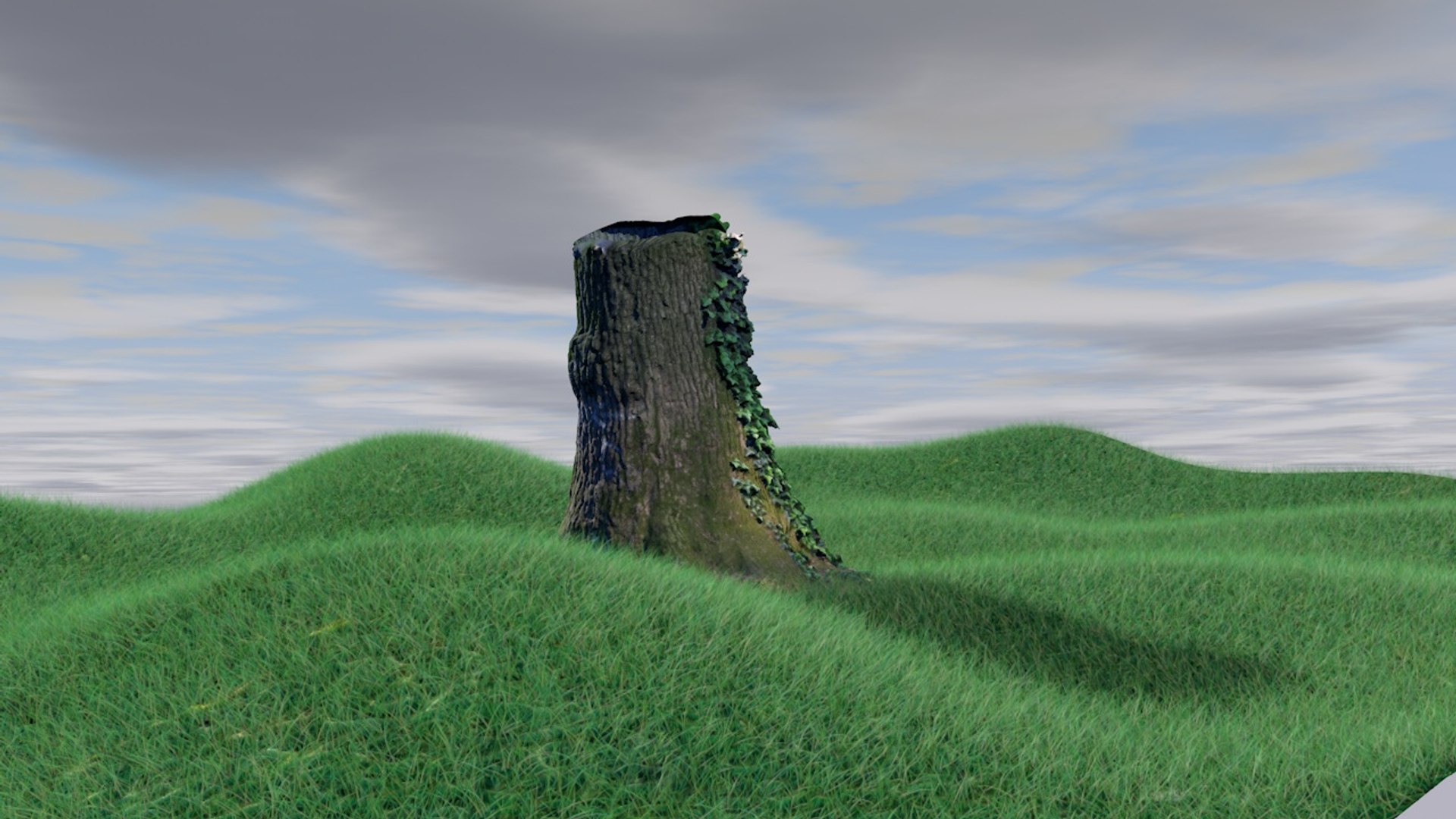 Photogrammetry Tree Trunk Hole 3D Model - TurboSquid 1403681
