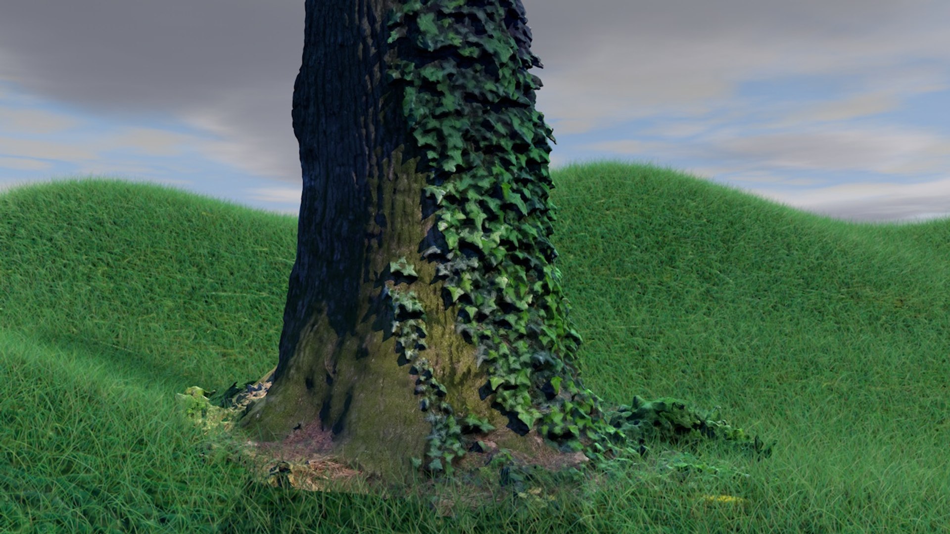 Photogrammetry Tree Trunk Hole 3D Model - TurboSquid 1403681