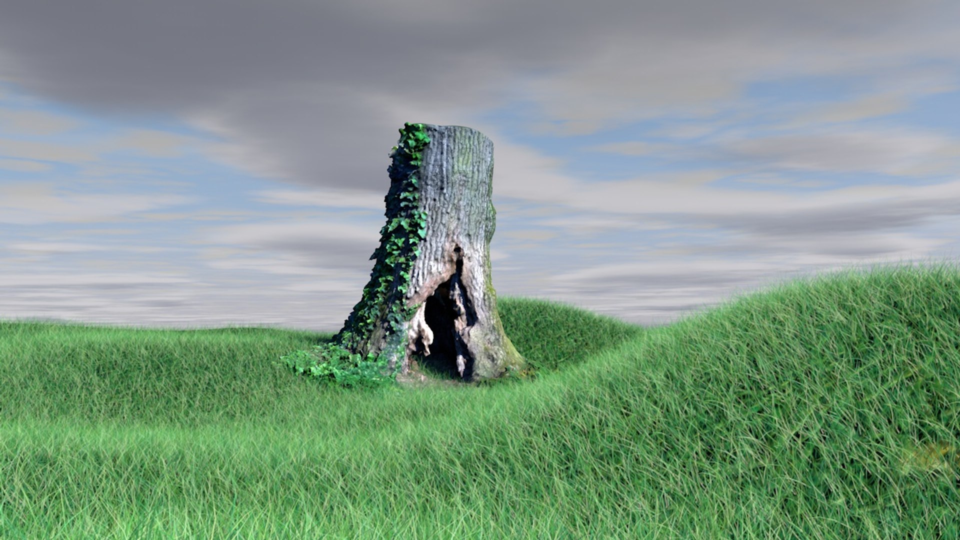 Photogrammetry Tree Trunk Hole 3D Model - TurboSquid 1403681