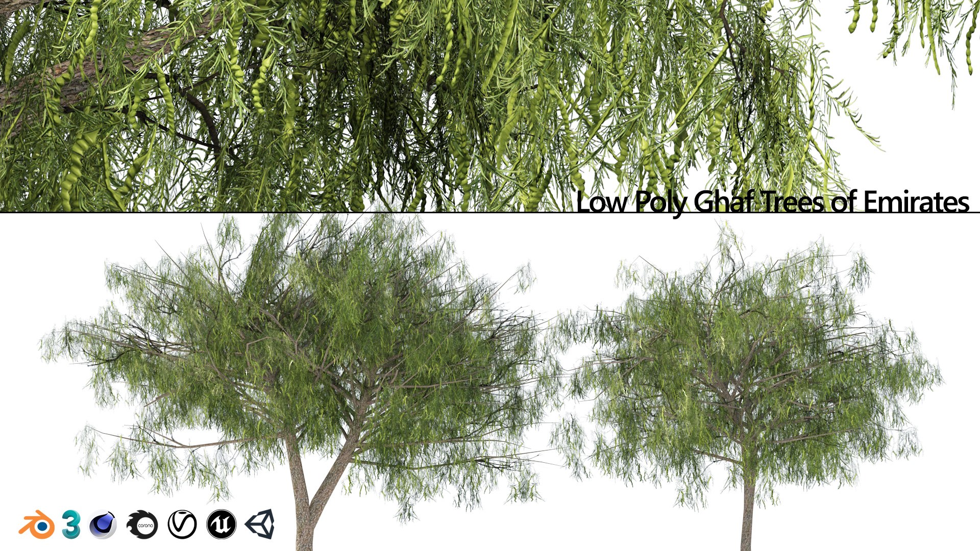 3D Low Poly Arabian Ghaf Trees Of Emirates - TurboSquid 2102769