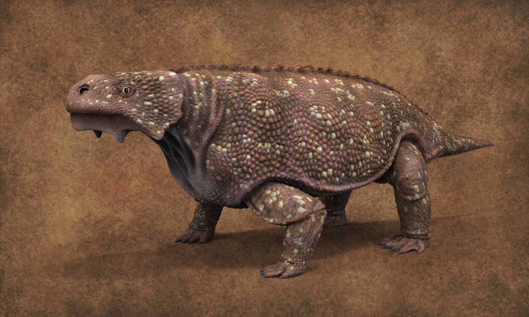 Bradysaurus Baini 3D Model - TurboSquid 1343723