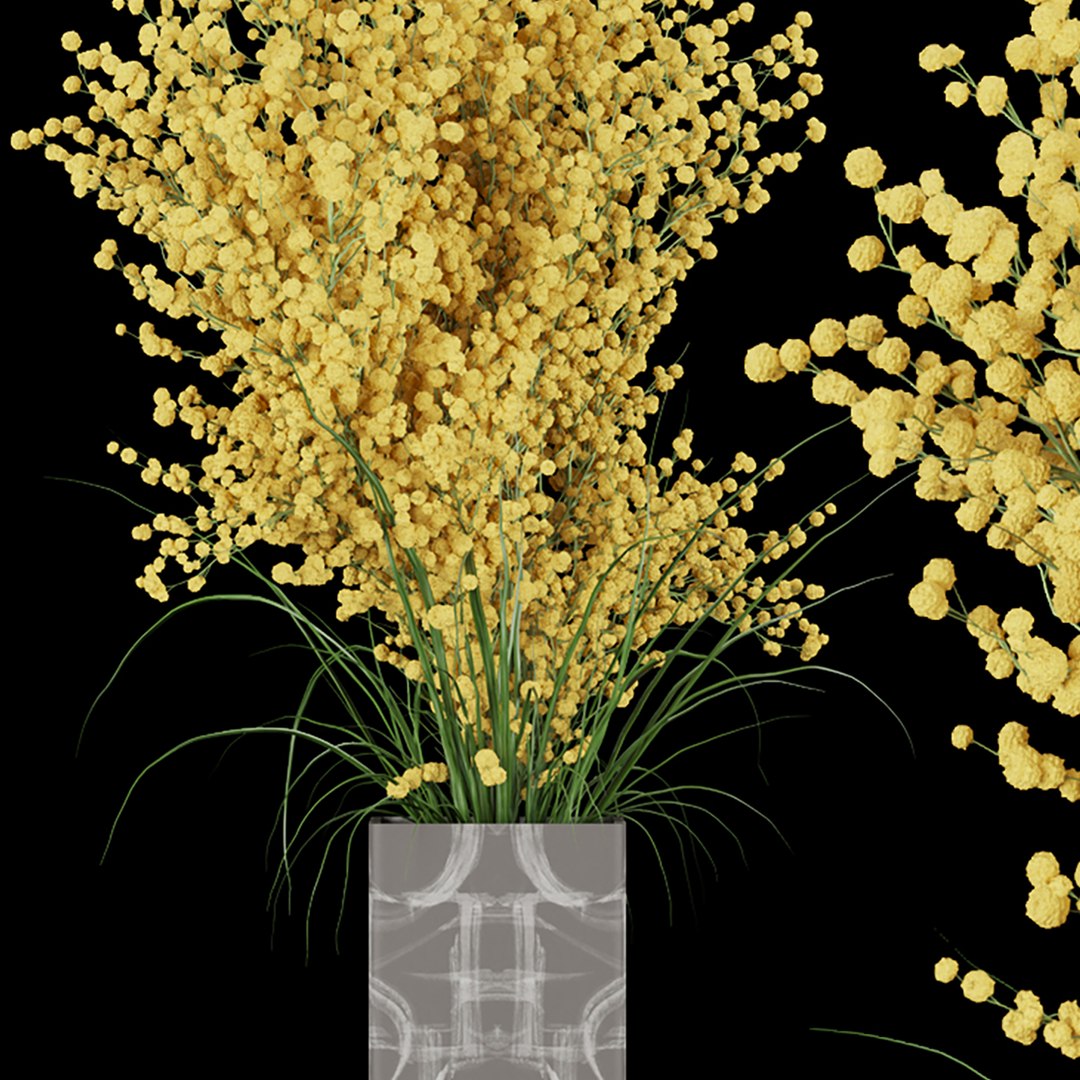 3D Model Collection Plant Vol 91 - Mimosa - TurboSquid 1873416