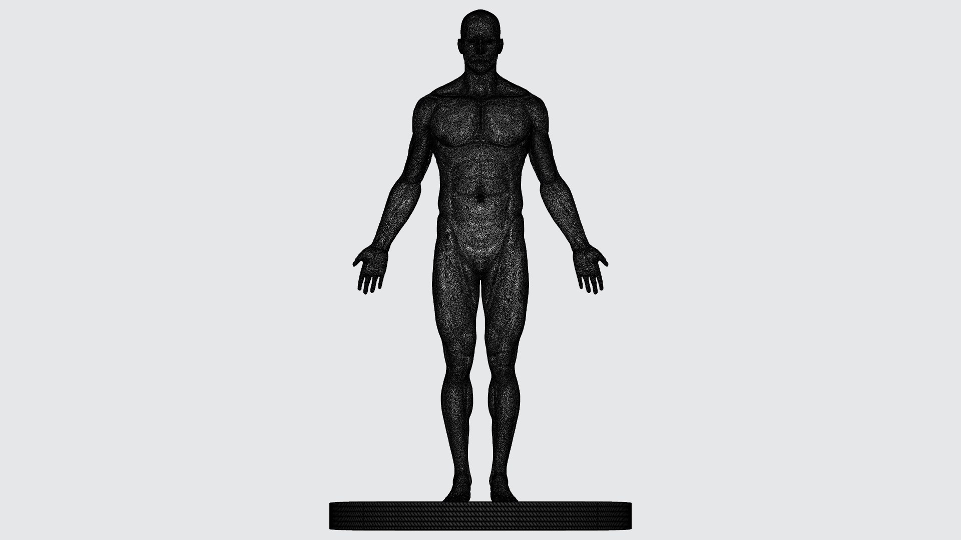 Anatomically Correct Male Body 3D Model - TurboSquid 1787542
