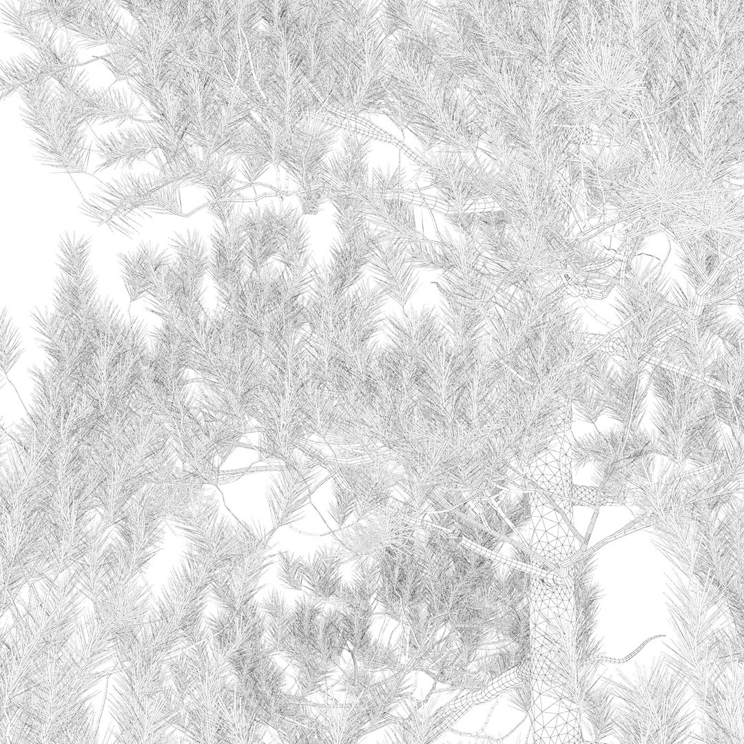 realistic pine tree 3d obj