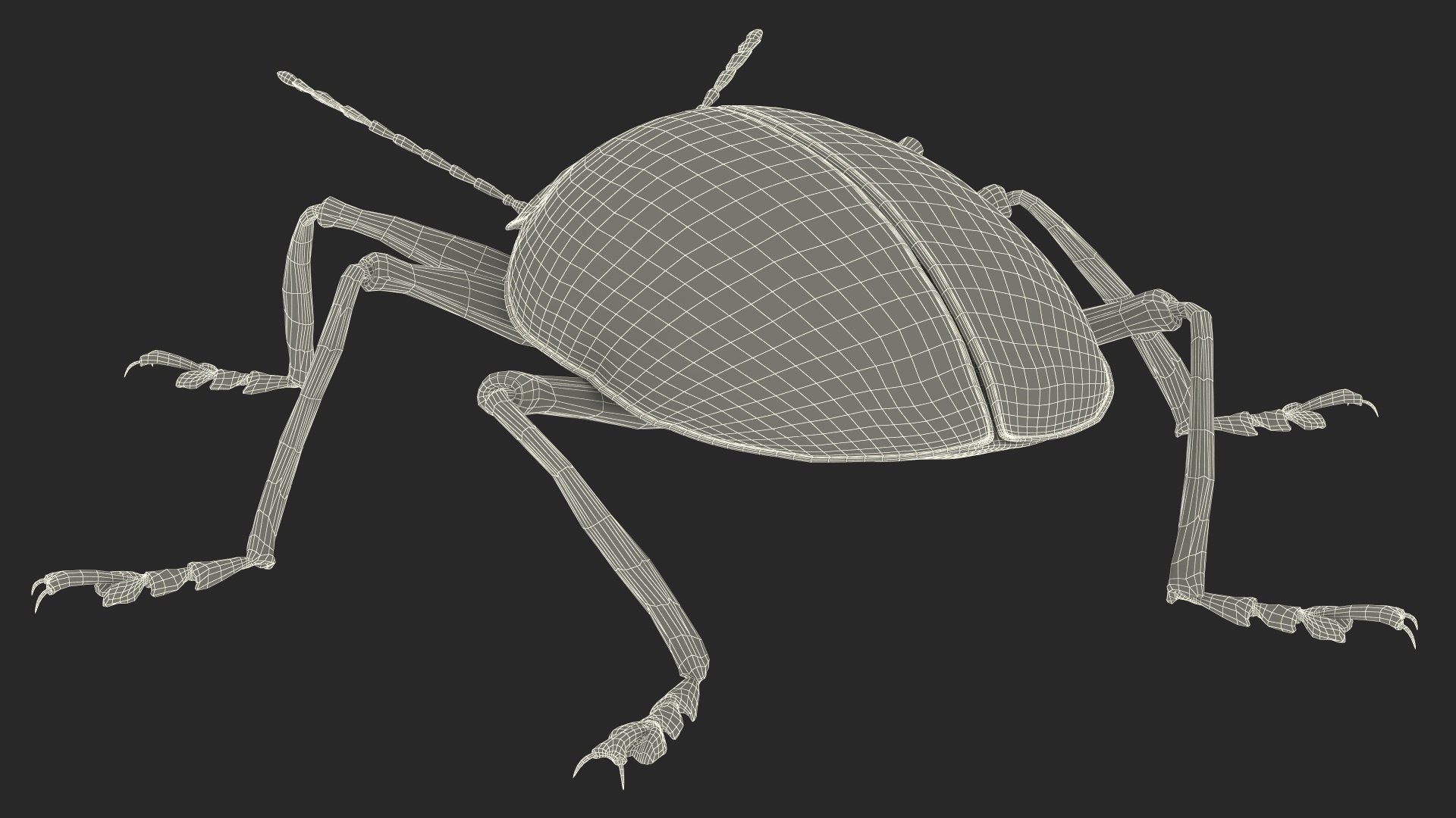 3D Blue Pleasing Fungus Beetle - TurboSquid 2296386
