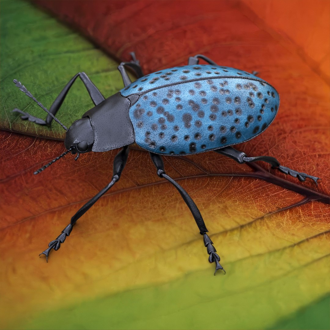 3D Blue Pleasing Fungus Beetle - TurboSquid 2296386