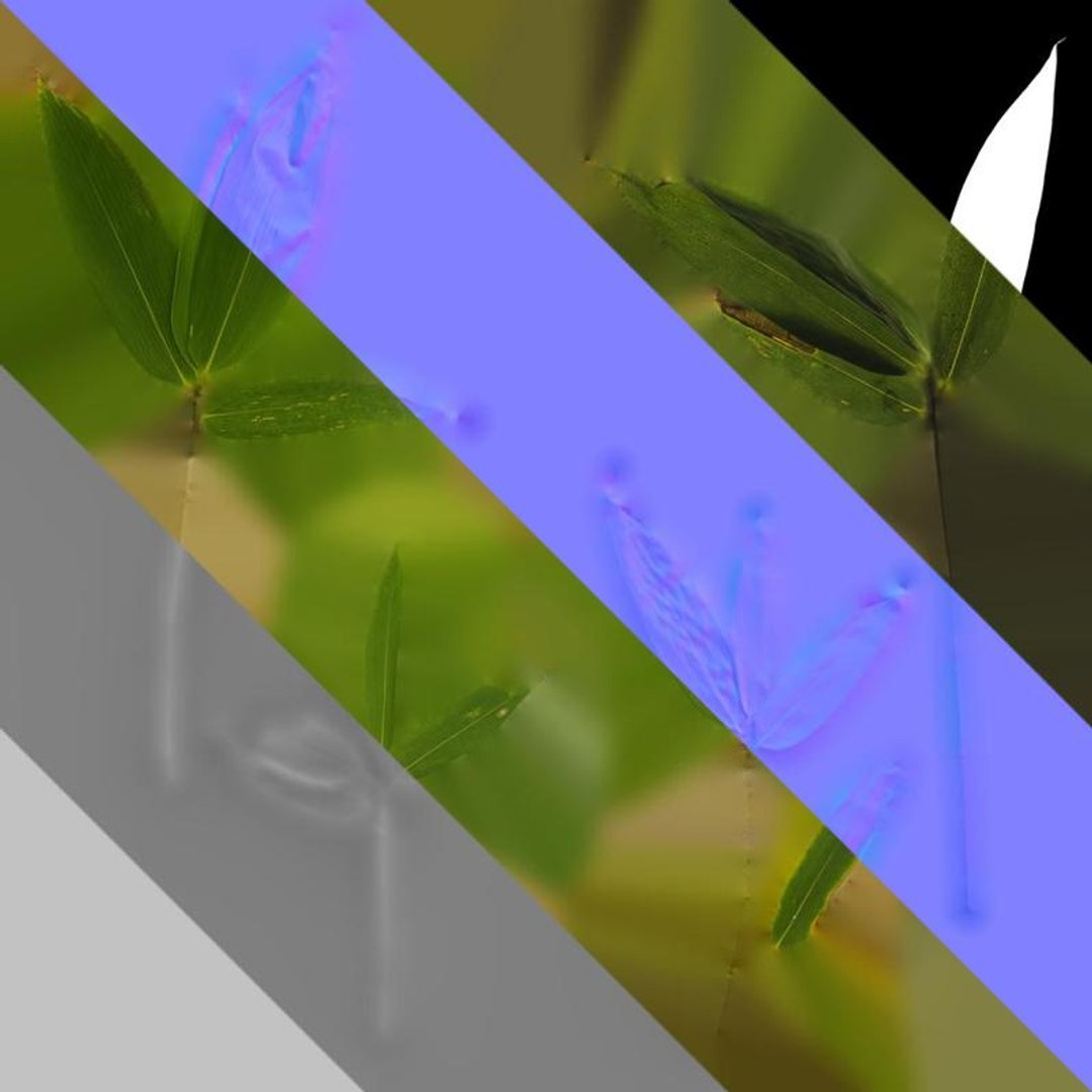 3D Model Anydrafts Sasa Pygmaea Atlas 01 Textures - TurboSquid 2345479