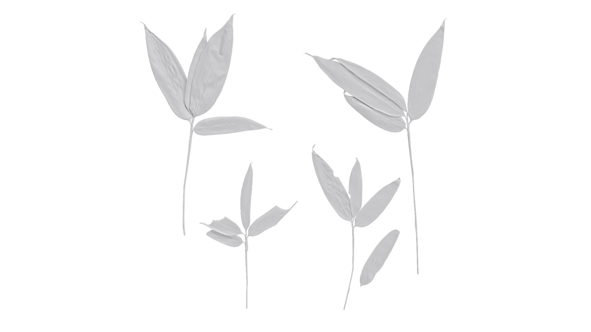 3D Model Anydrafts Sasa Pygmaea Atlas 01 Textures - TurboSquid 2345479