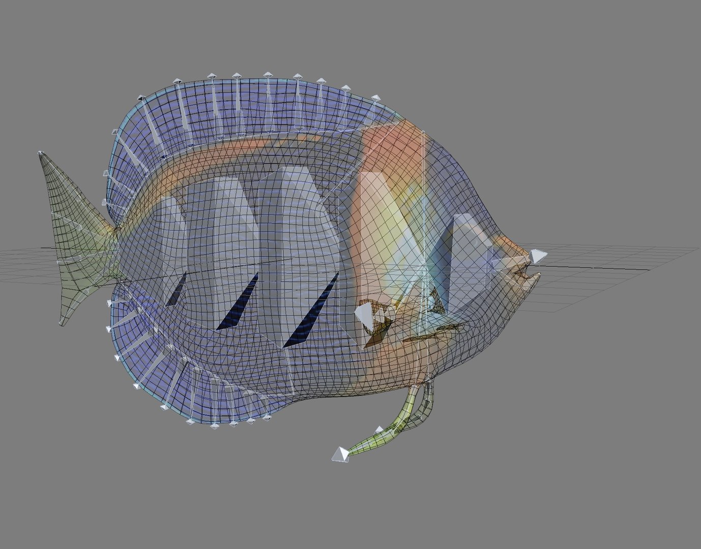 3d Model Scribbled Angelfish Realistic Animation