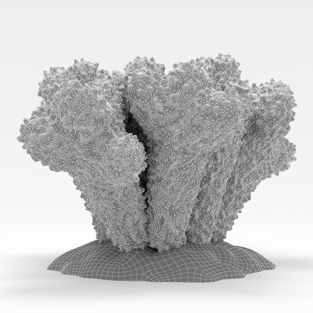 3d Coral