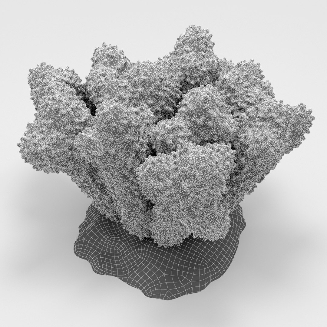 3d Coral