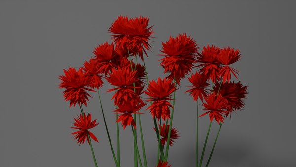 Free Basic Flower 3D model - TurboSquid 1846868