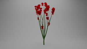 Free Blender Flower Models | TurboSquid