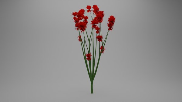 Free 3D Flower Models | TurboSquid