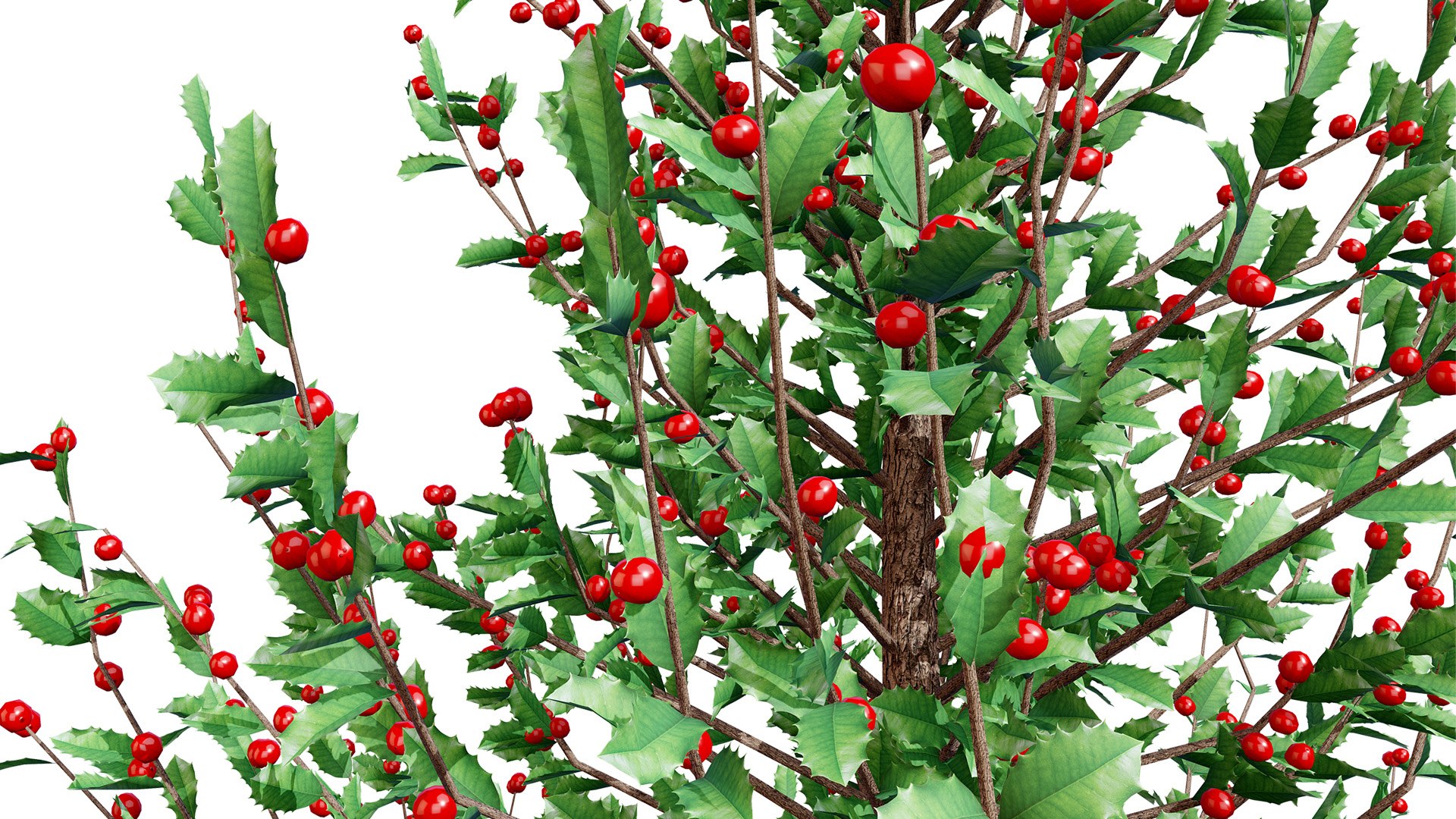 3D Realistic Holly Trees 3D Asset Pack Model - TurboSquid 2334439