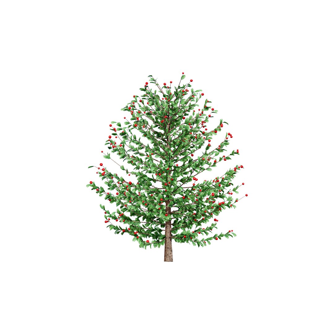 3D Realistic Holly Trees 3D Asset Pack Model - TurboSquid 2334439