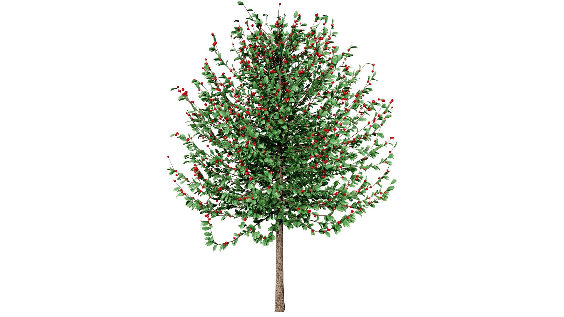 3D Realistic Holly Trees 3D Asset Pack Model - TurboSquid 2334439
