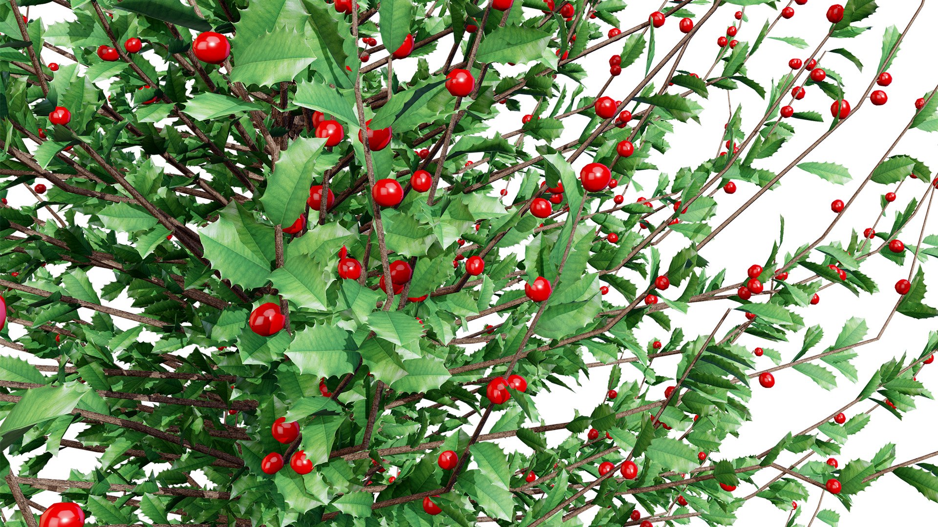 3D Realistic Holly Trees 3D Asset Pack Model - TurboSquid 2334439