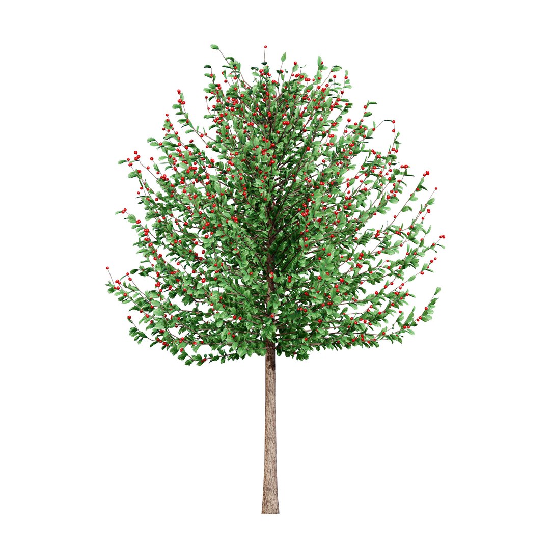 3D Realistic Holly Trees 3D Asset Pack Model - TurboSquid 2334439