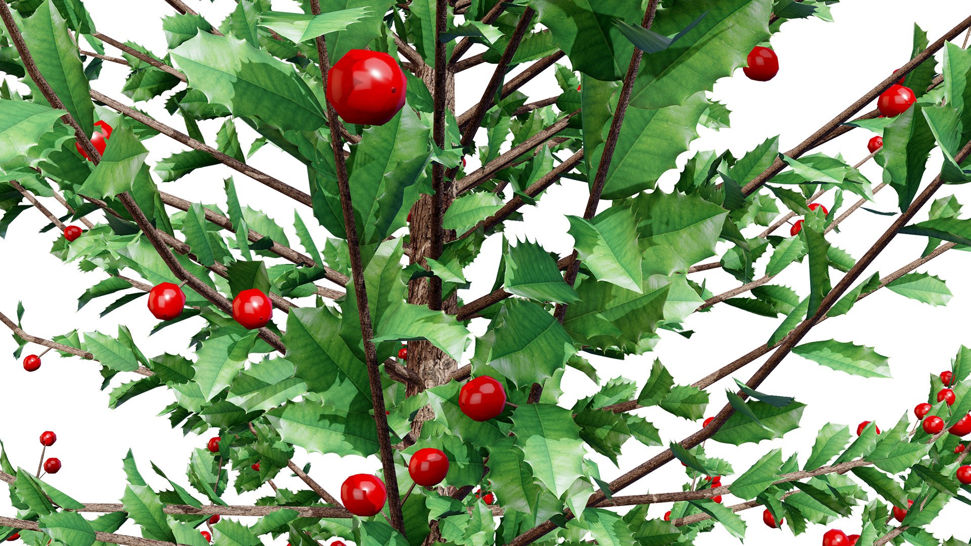 3D Realistic Holly Trees 3D Asset Pack Model - TurboSquid 2334439