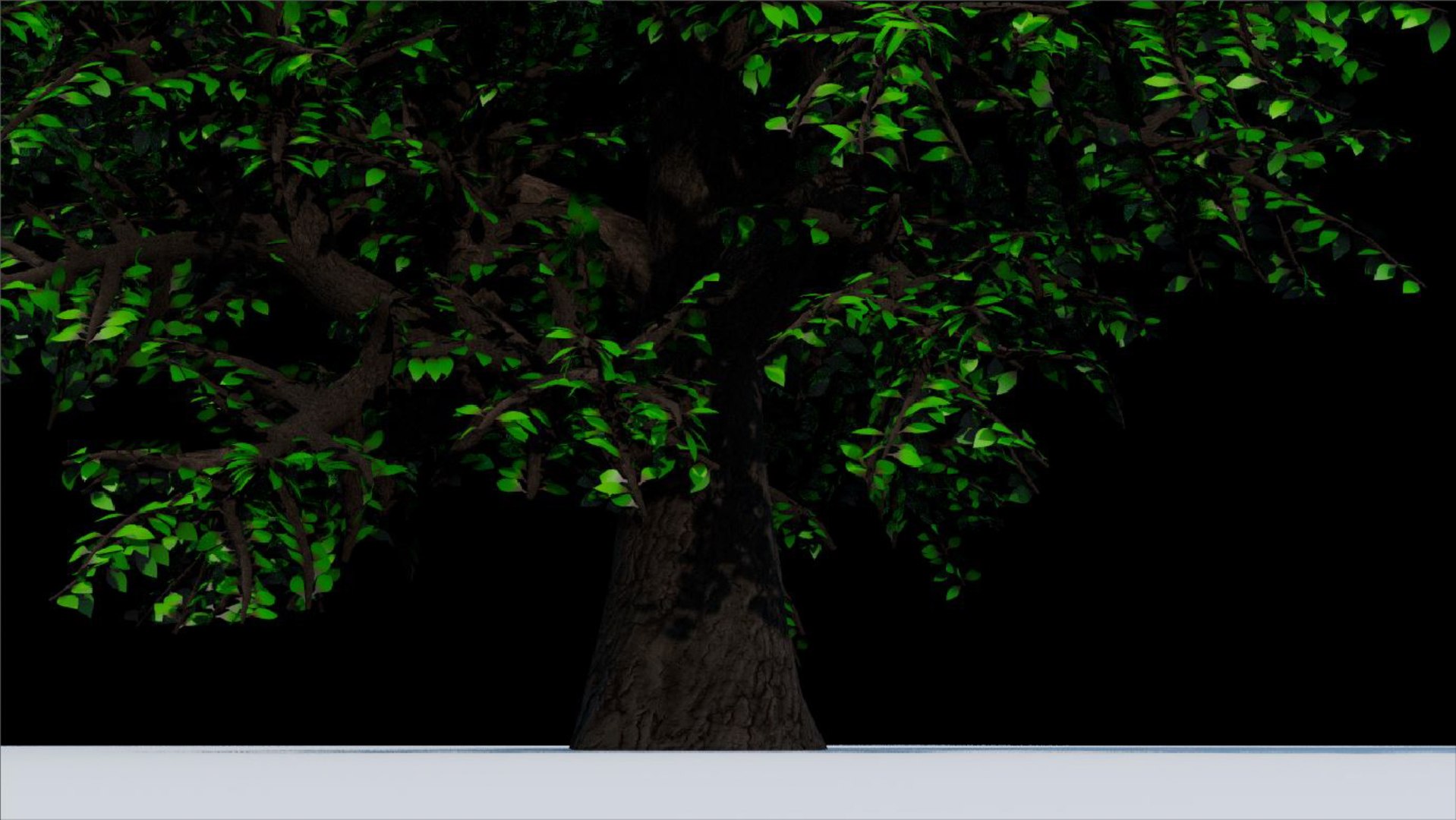 Oak Tree 3D Model - TurboSquid 2019423
