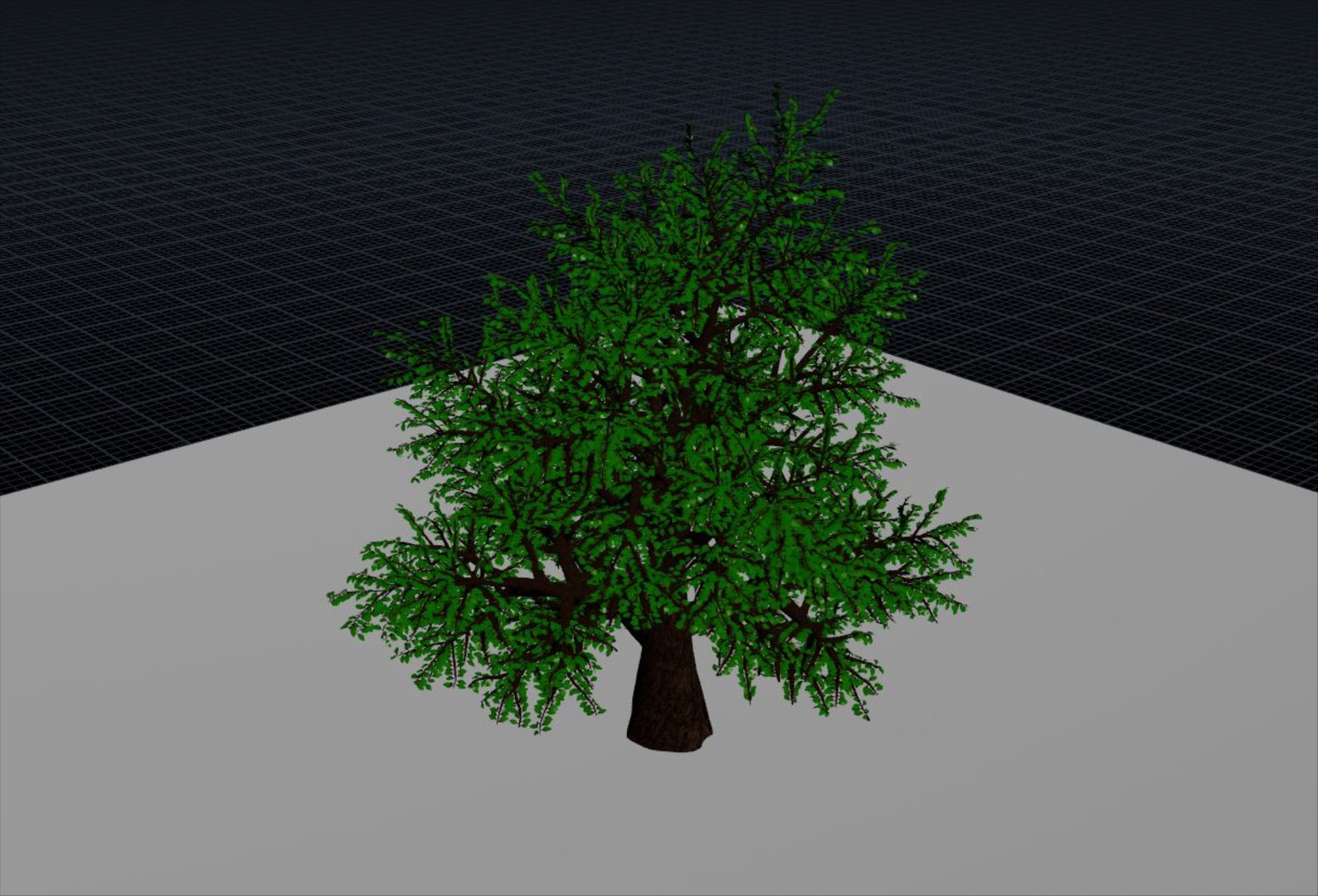Oak Tree 3D Model - TurboSquid 2019423