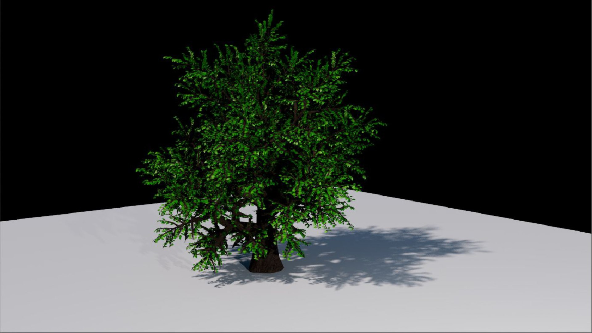 Oak Tree 3D Model - TurboSquid 2019423