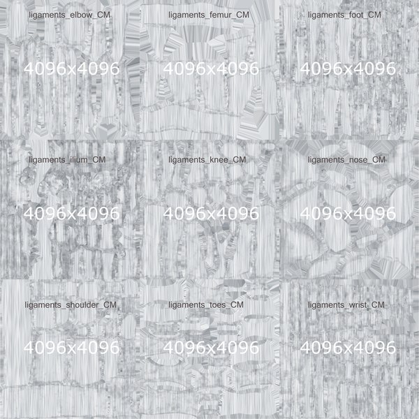 3D model male skin skeleton ligaments - TurboSquid 1374000