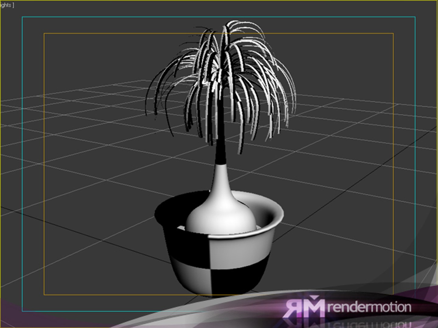 D1 C4 27 Beaucarnea-pata 3d Model