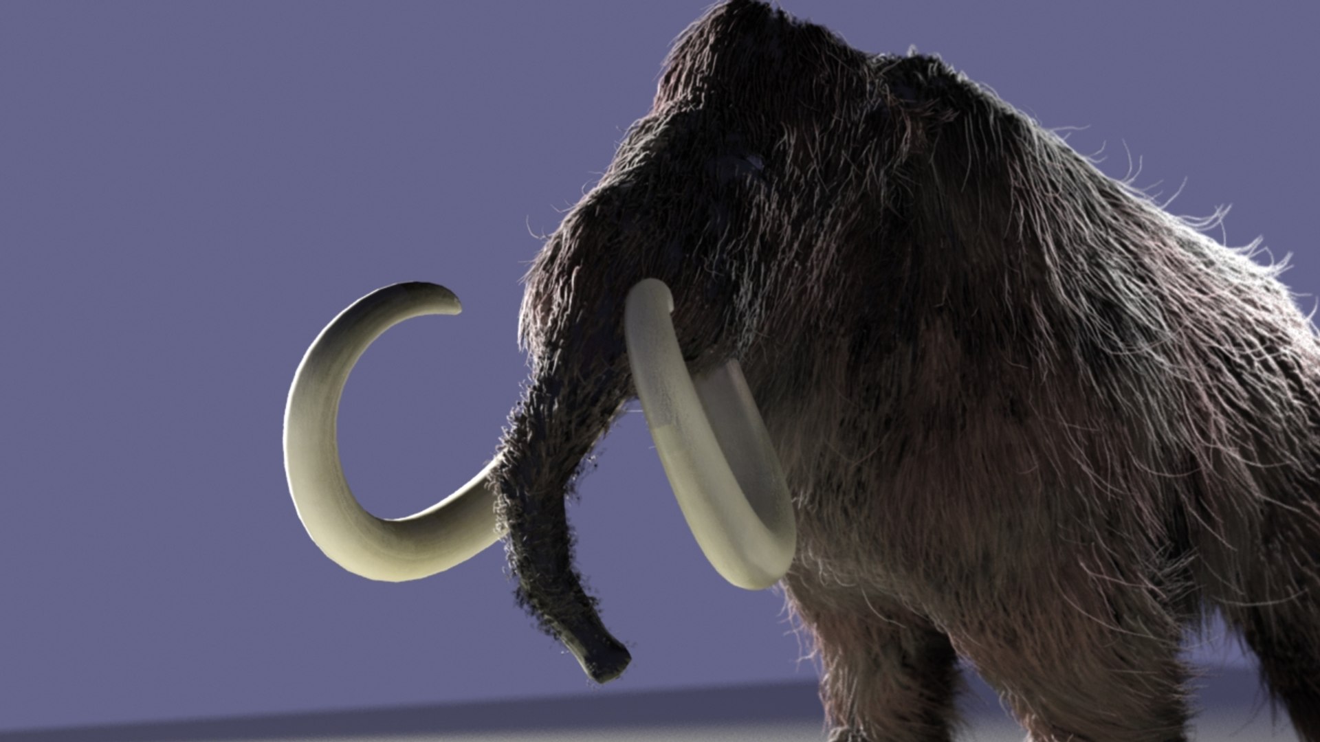 Mammut 3d Max