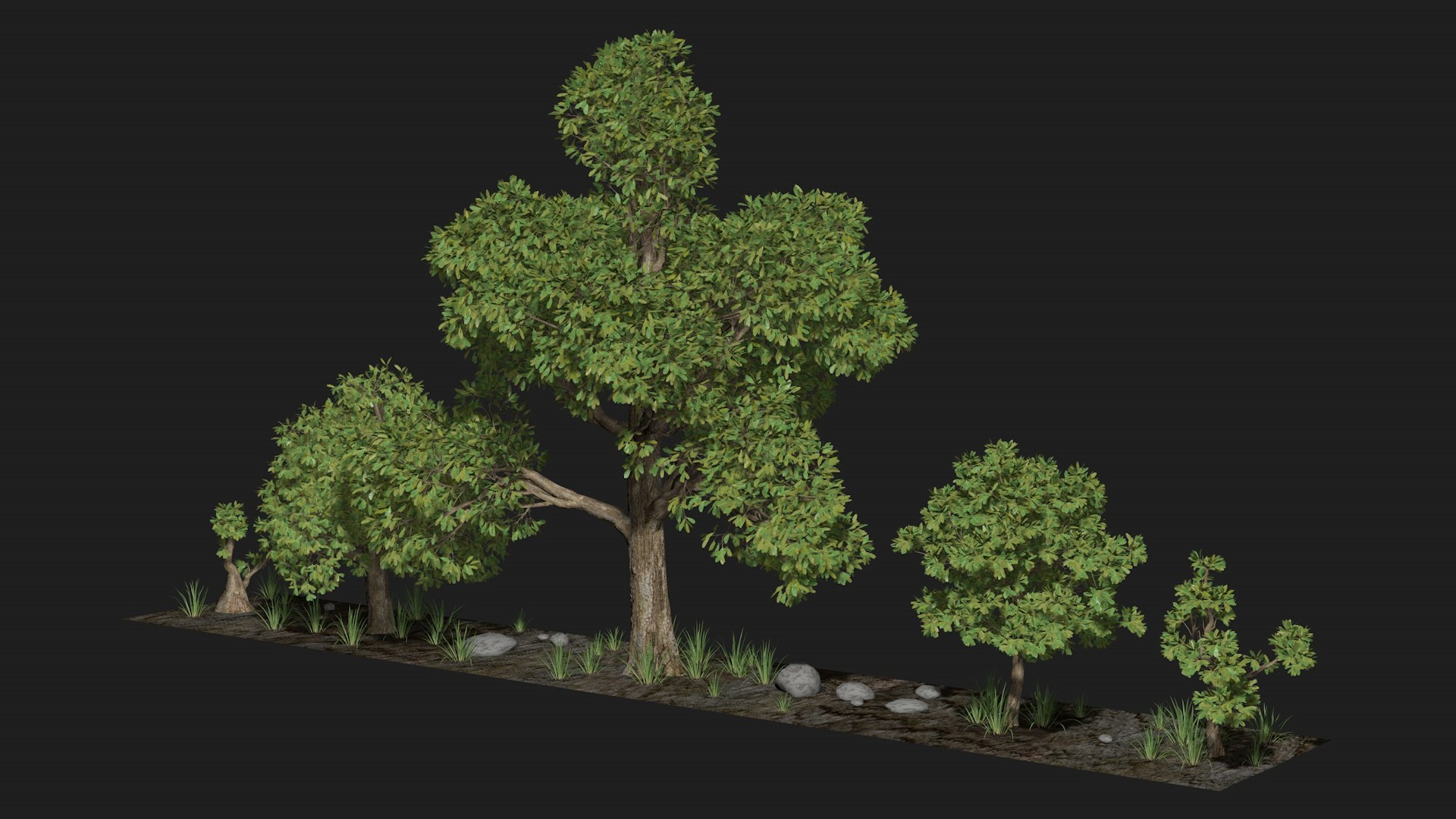 Five trees set R4 3D model - TurboSquid 1876792