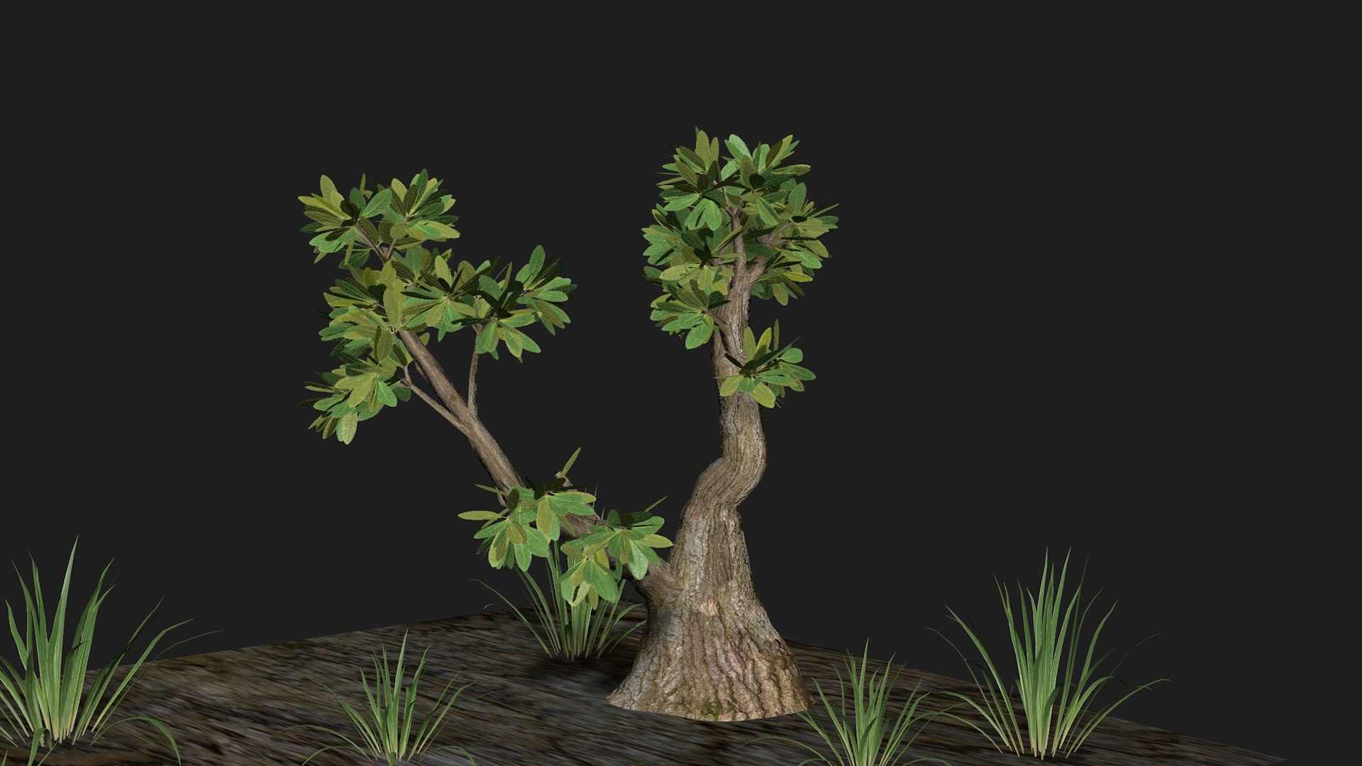 Five trees set R4 3D model - TurboSquid 1876792