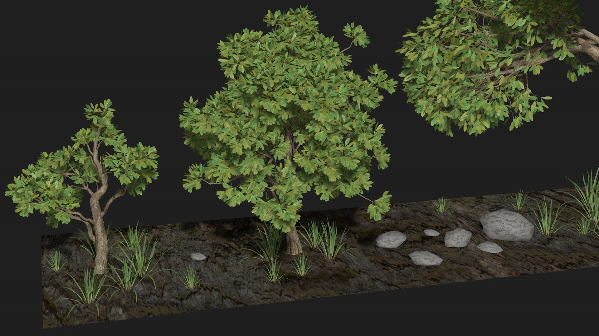 Five trees set R4 3D model - TurboSquid 1876792