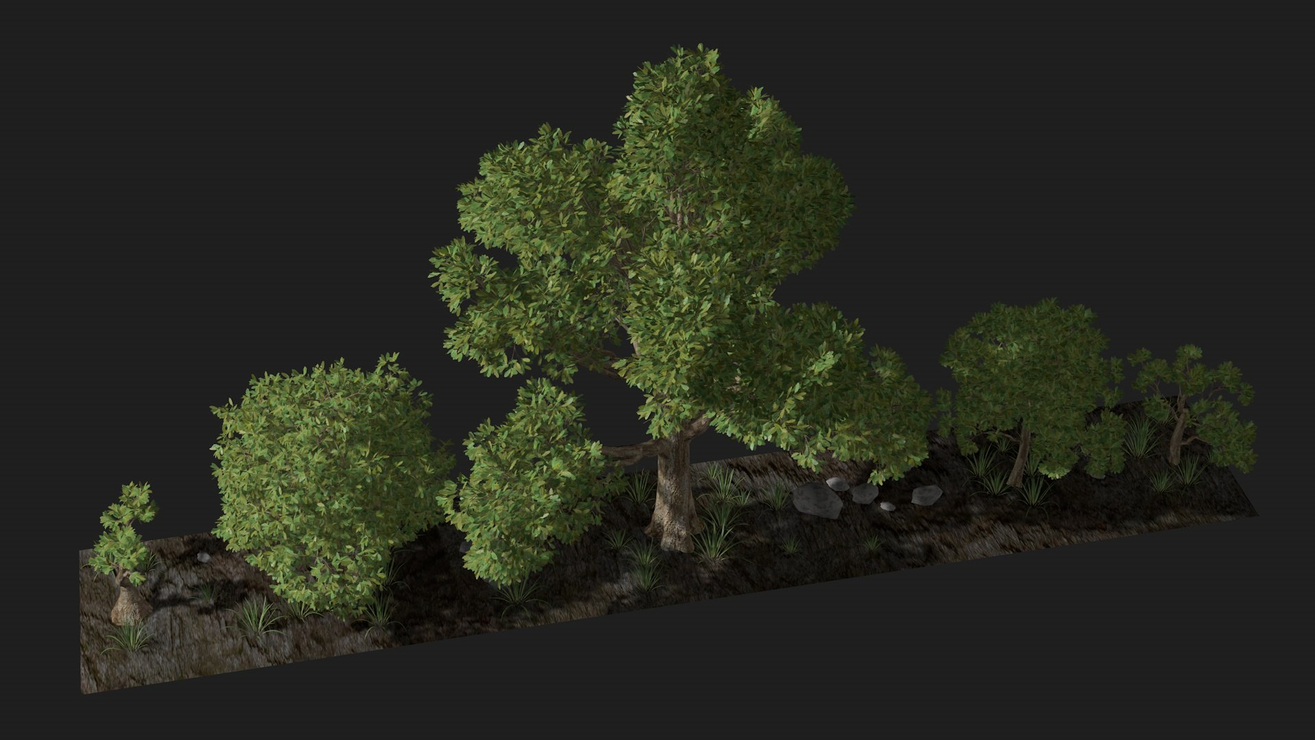 Five trees set R4 3D model - TurboSquid 1876792