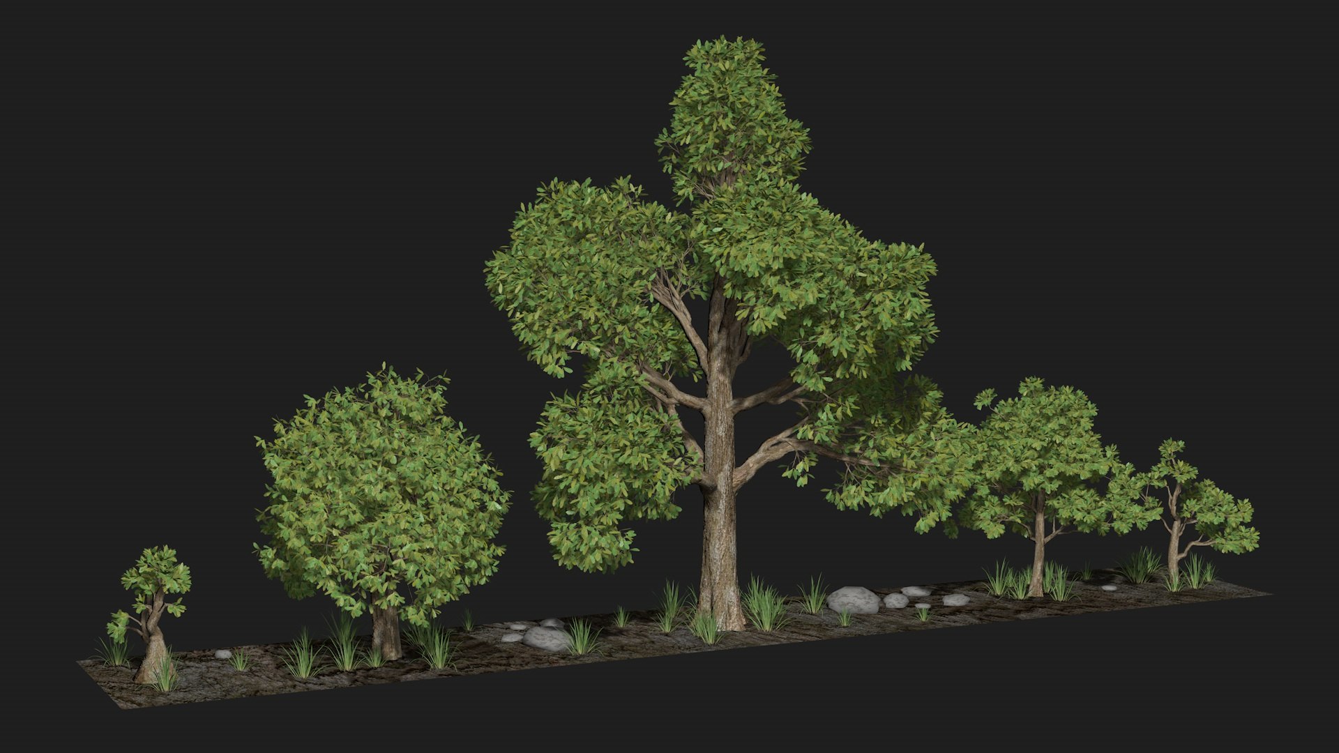 Five trees set R4 3D model - TurboSquid 1876792