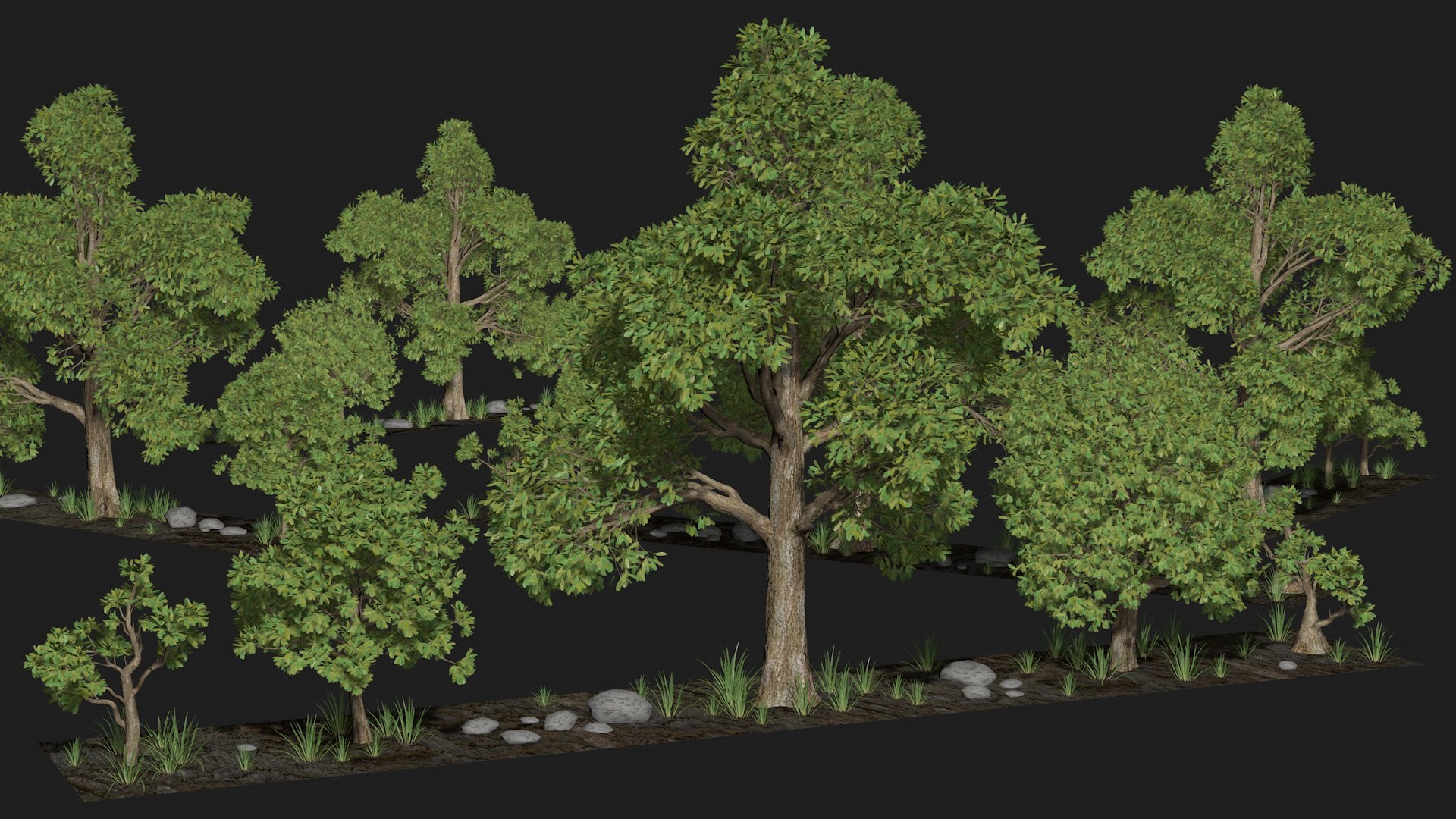 Five trees set R4 3D model - TurboSquid 1876792