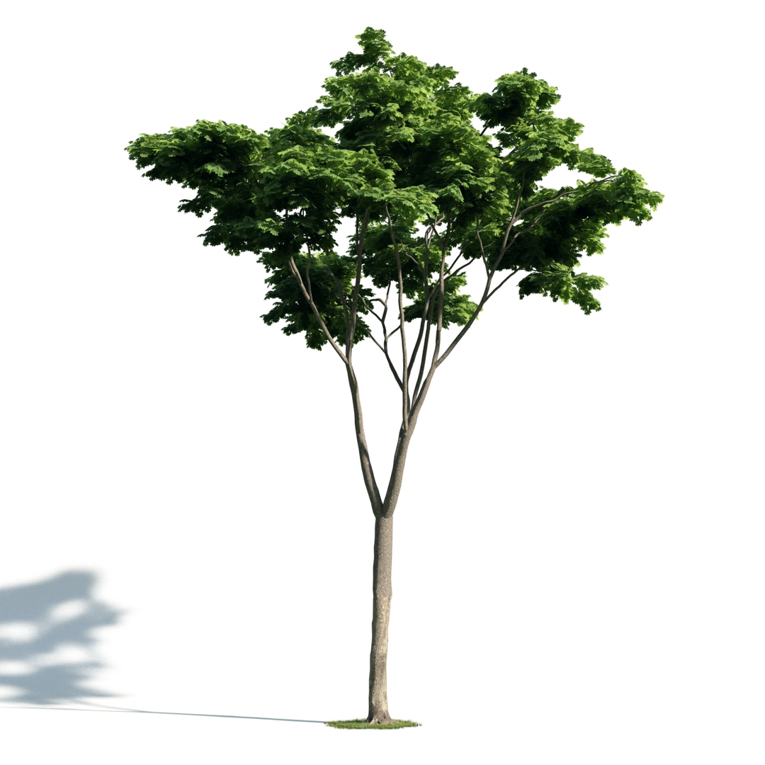 3d archmodels vol 171 trees