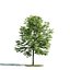 3d Archmodels Vol 171 Trees
