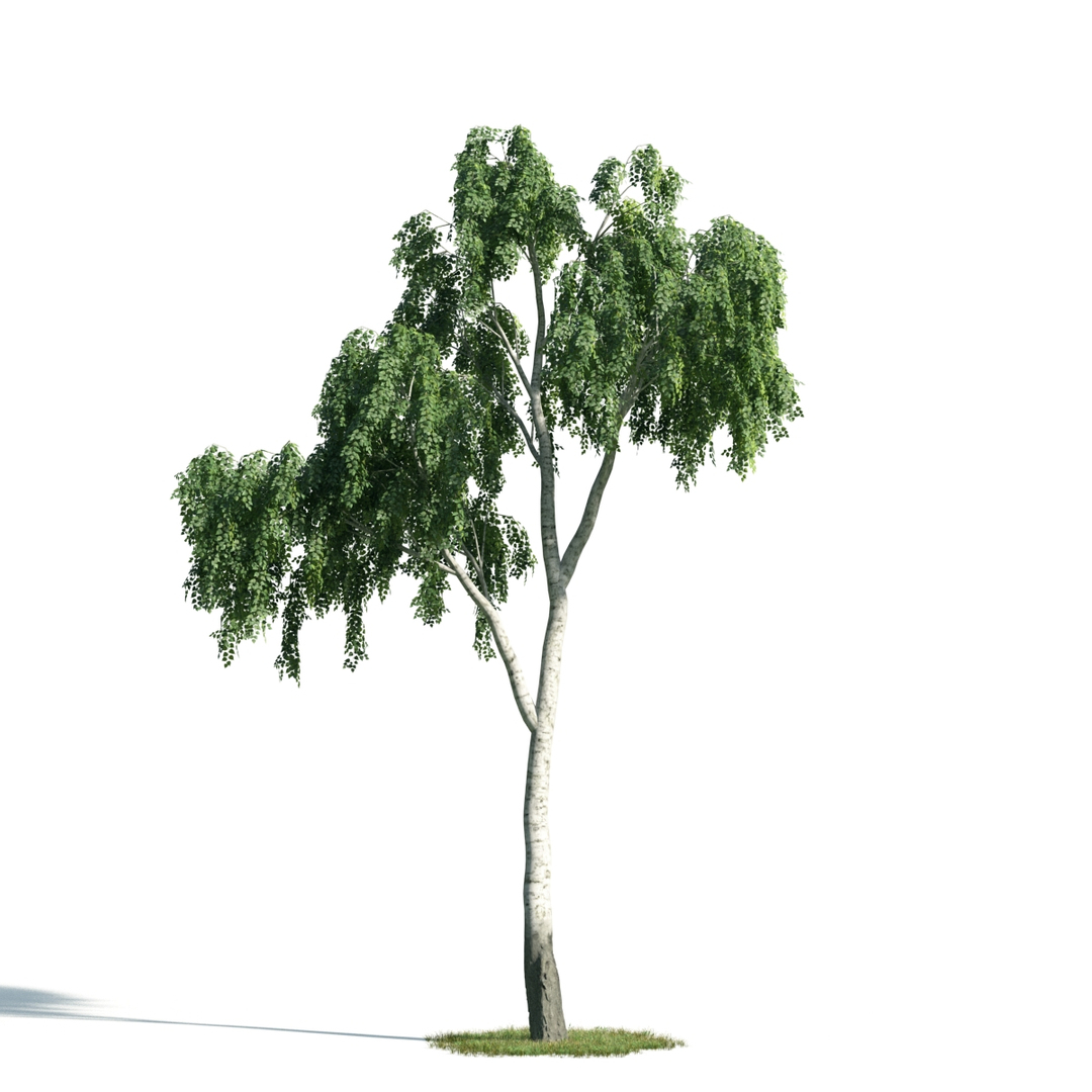 3d archmodels vol 171 trees