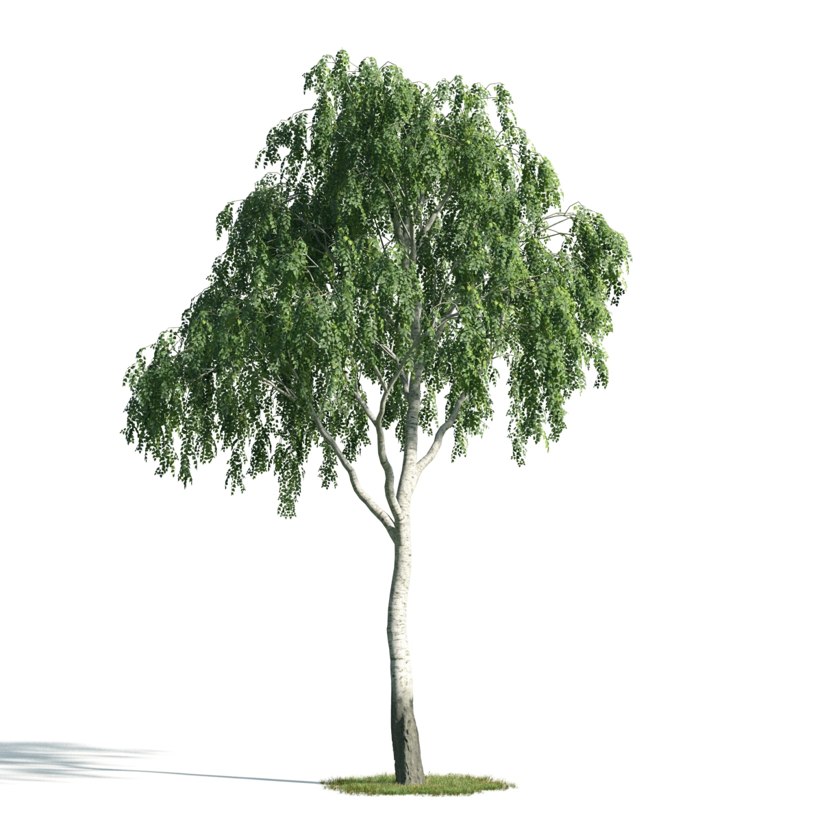 3d archmodels vol 171 trees