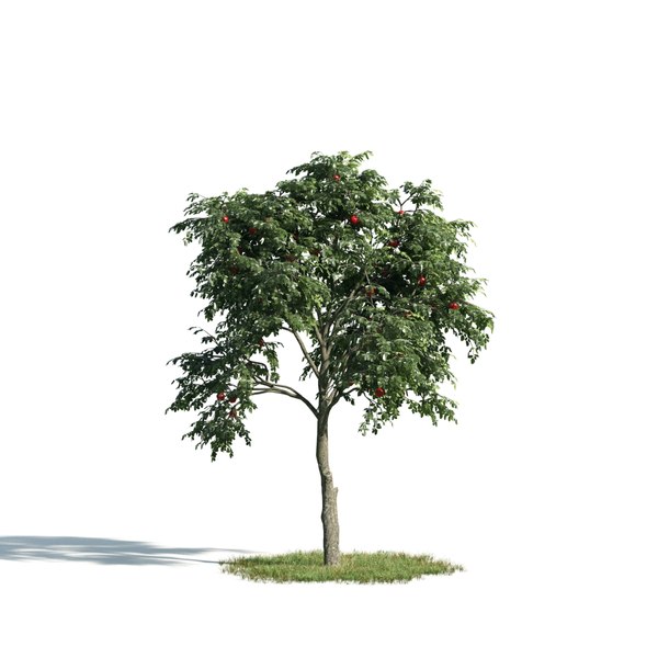 3d archmodels vol 171 trees