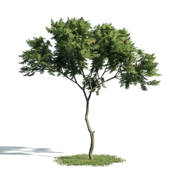 3d archmodels vol 171 trees