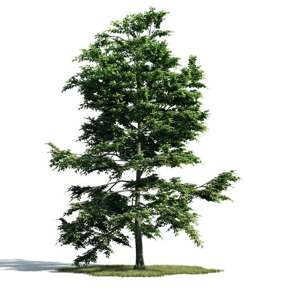 3d archmodels vol 171 trees