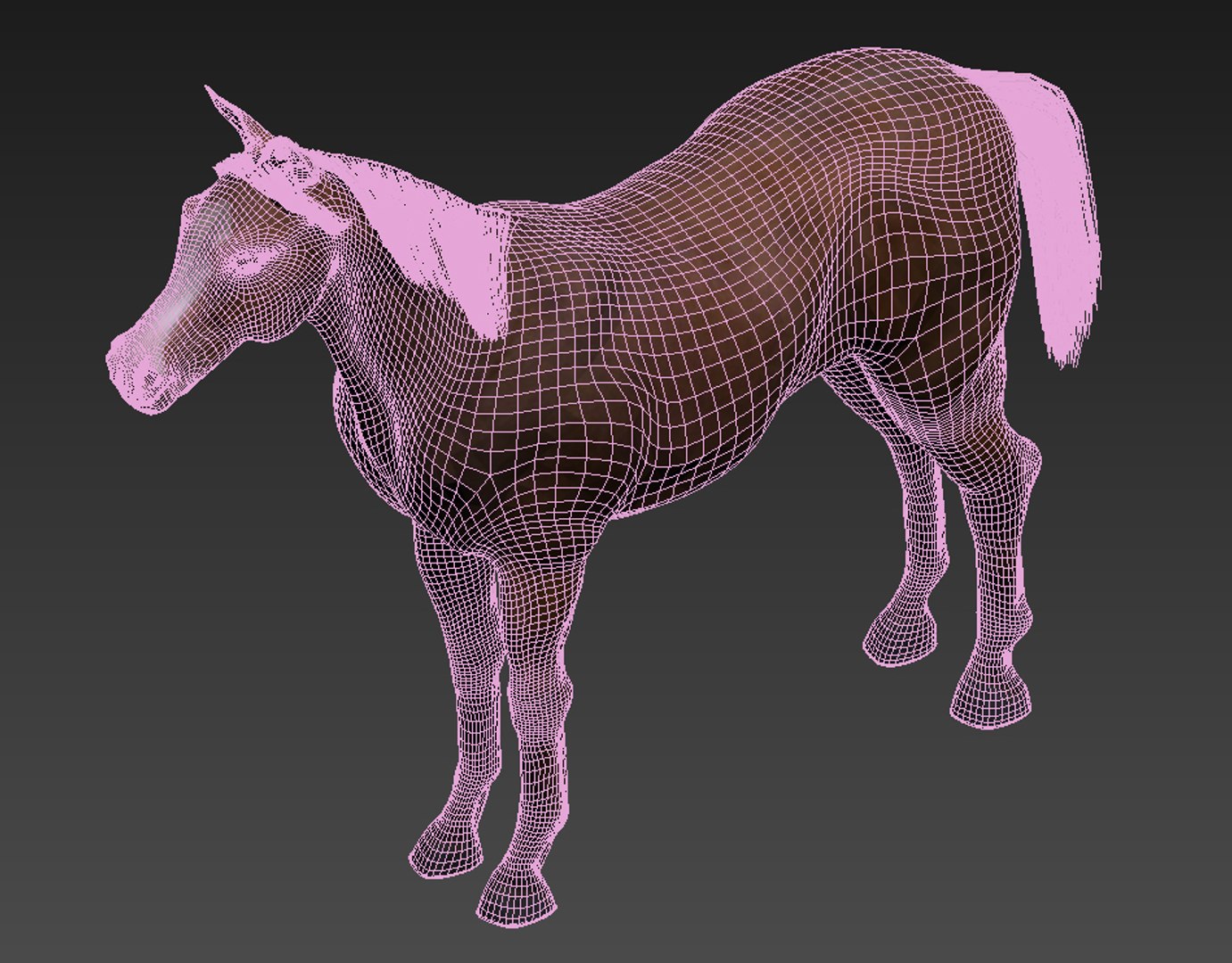 3d model horse
