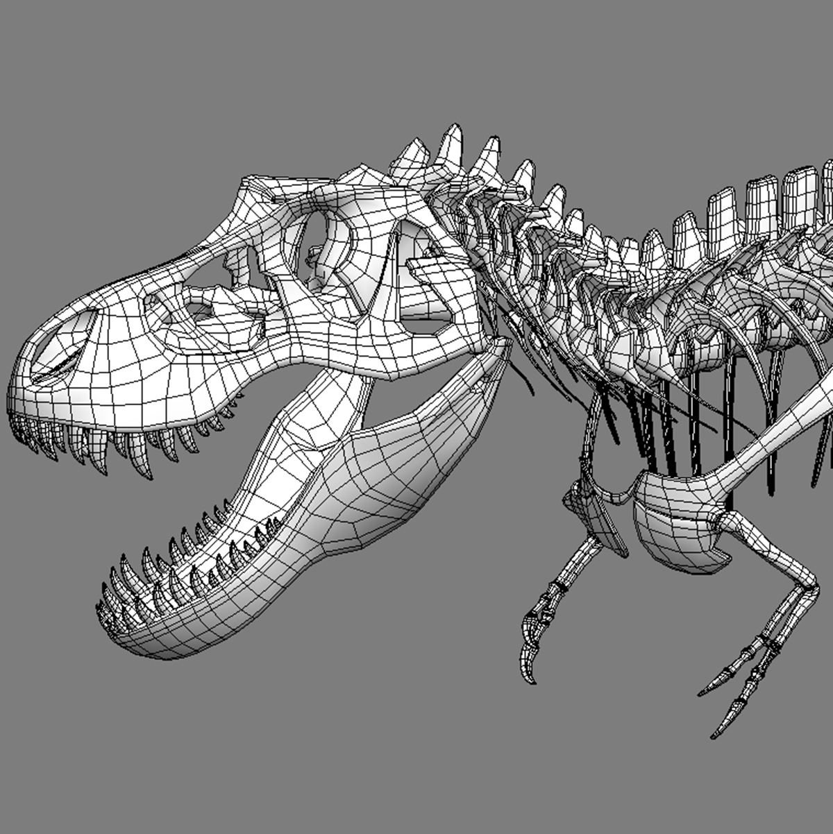 3d tyrannosaurus rex skeleton t-rex model