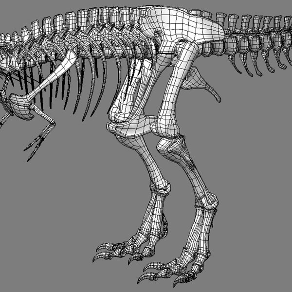 3d tyrannosaurus rex skeleton t-rex model