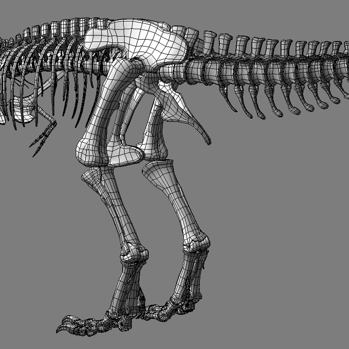 3d tyrannosaurus rex skeleton t-rex model