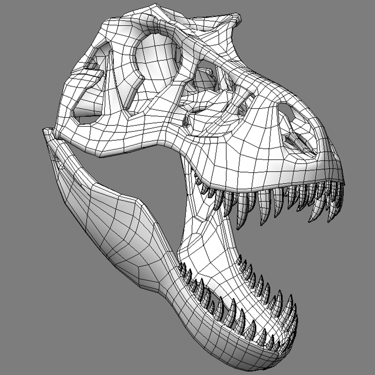 3d tyrannosaurus rex skeleton t-rex model