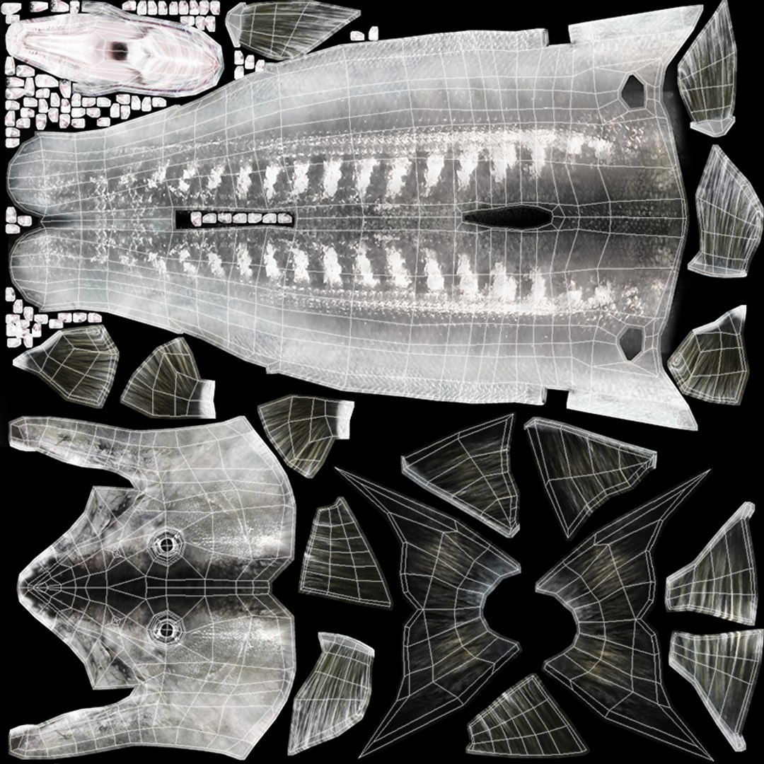 Realistic Barracuda Fish 3d Lwo