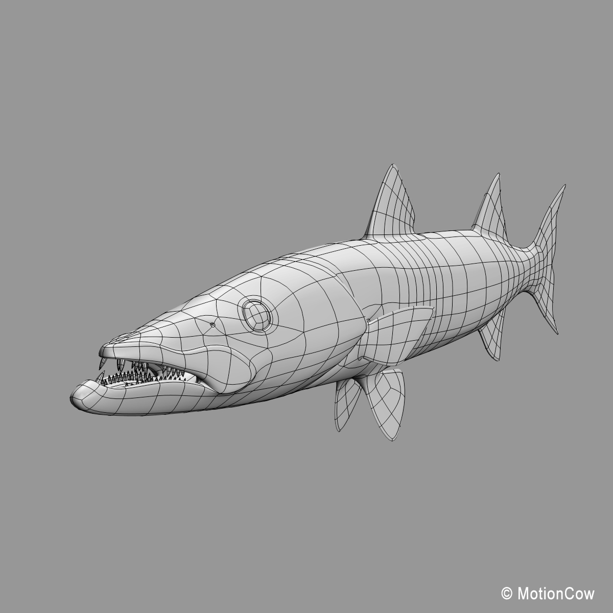 realistic barracuda fish 3d lwo